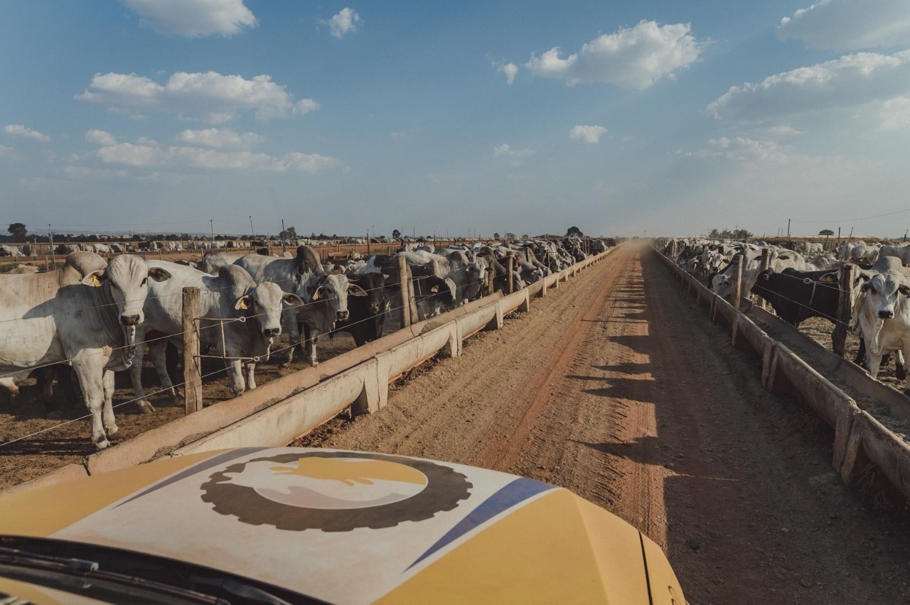 O pecuarista merece ter um dia para celebrar? - Rally da Pecuária
